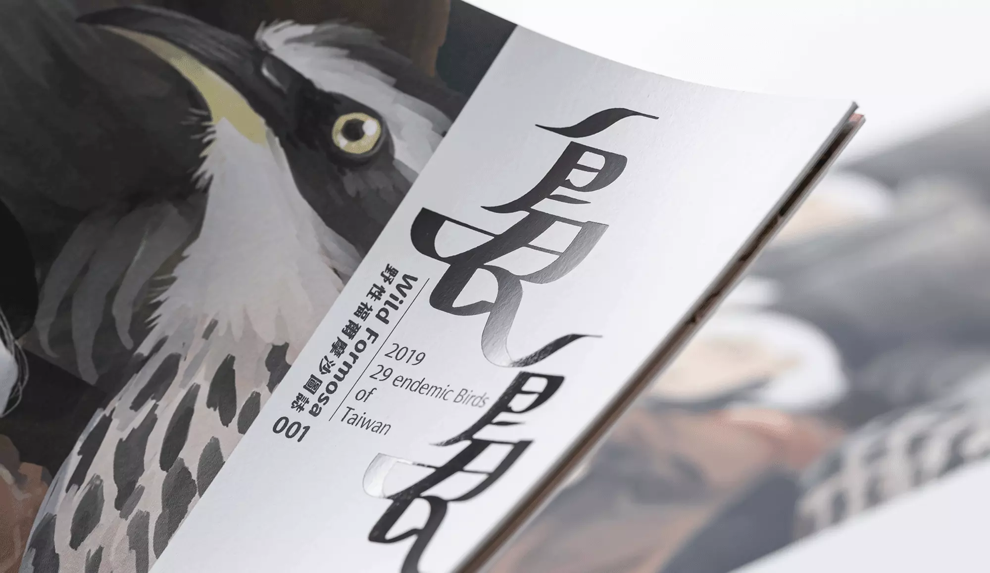 感官文化|BLOG 觀點|庠隱 Xiang Yin《裊裊：野性福爾摩沙圖誌》